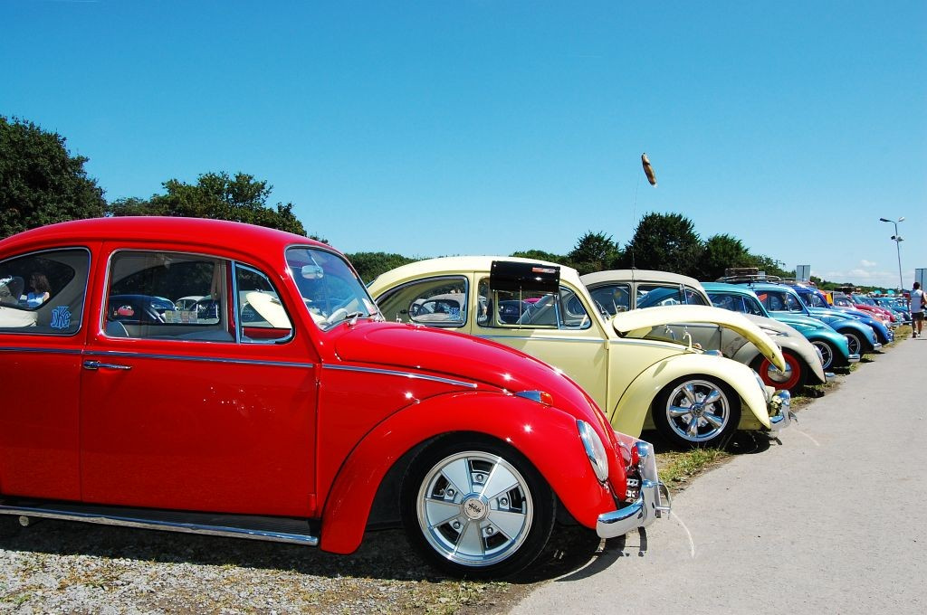 EBI 3: der Durchbruch für das European Bug In : Viele Bilder: das ...