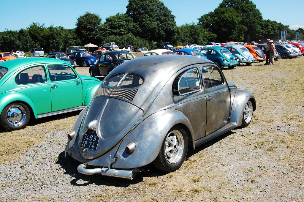 EBI 3: der Durchbruch für das European Bug In : Viele Bilder: das ...