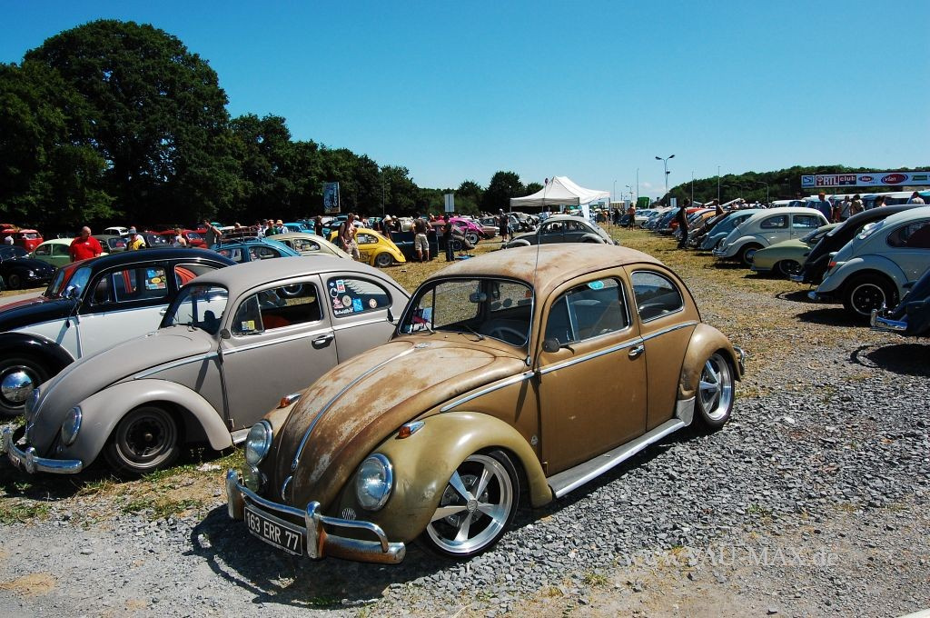 EBI 3: der Durchbruch für das European Bug In : Viele Bilder: das ...